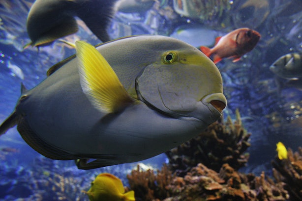 8 Places In The World That Are Covered In Poop, So You Know Where Not ...