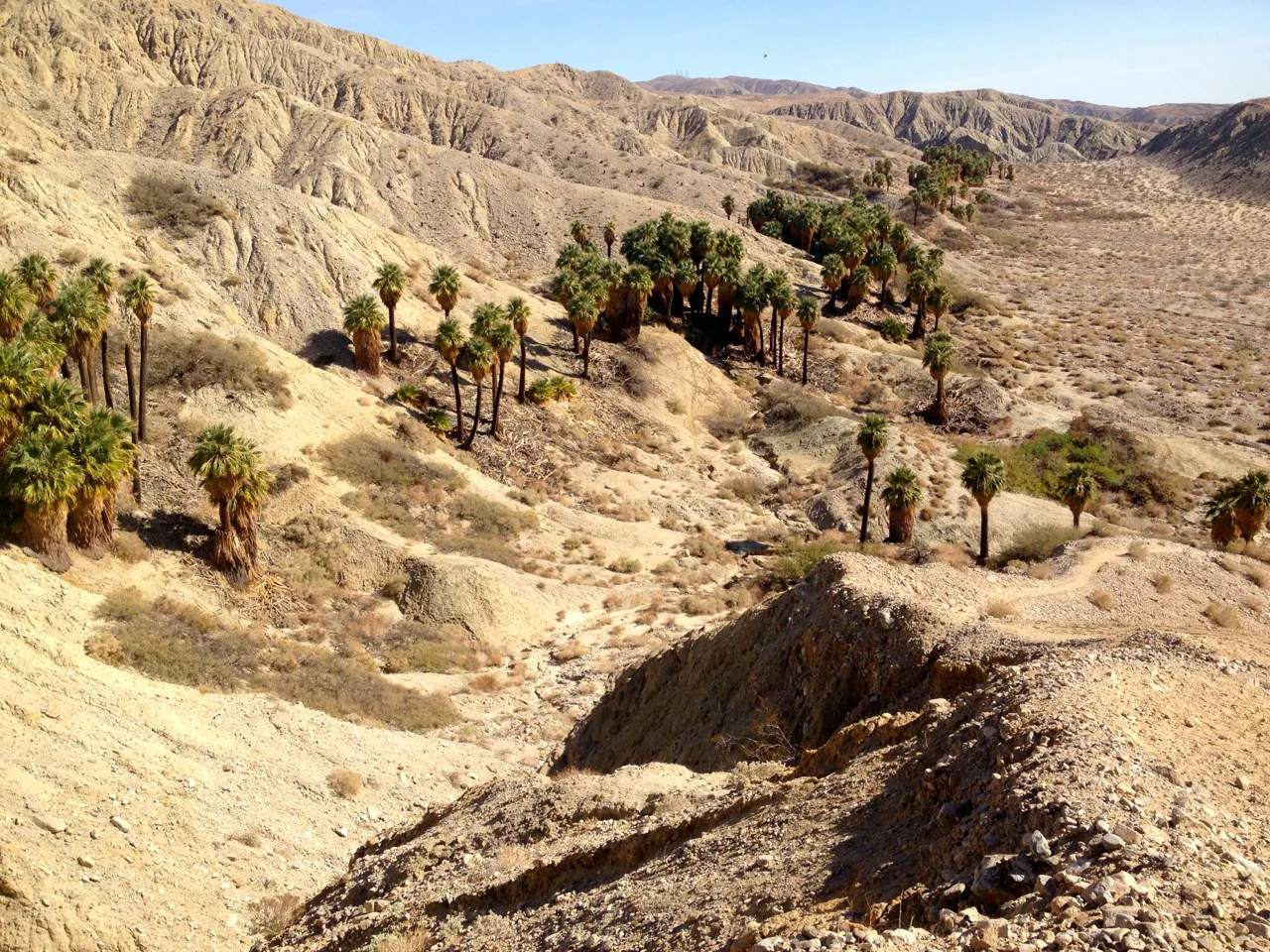 Photos Of The San Andreas Fault Show What The Geological Phenomenon ...