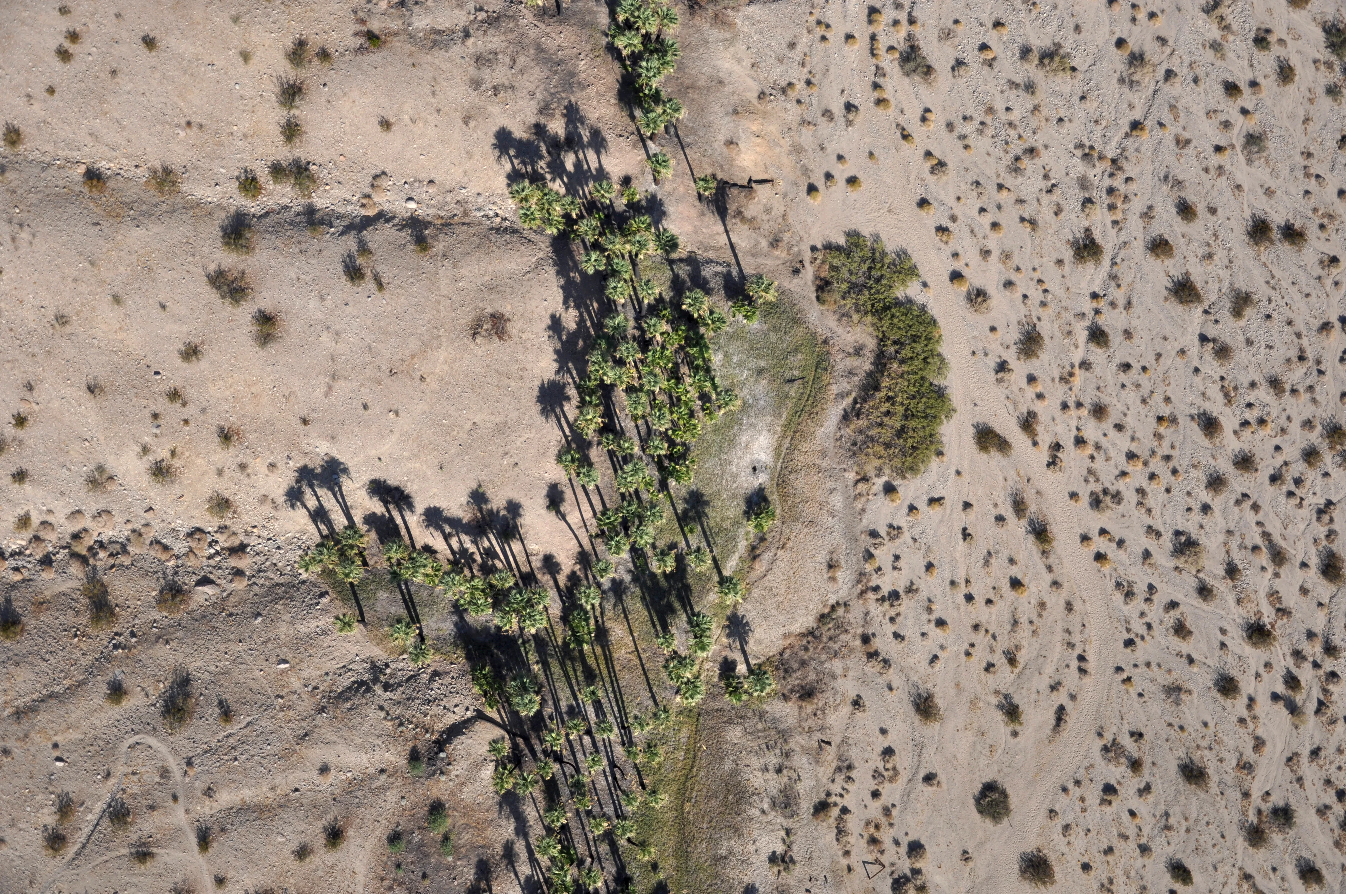 Photos Of The San Andreas Fault Show What The Geological Phenomenon ...