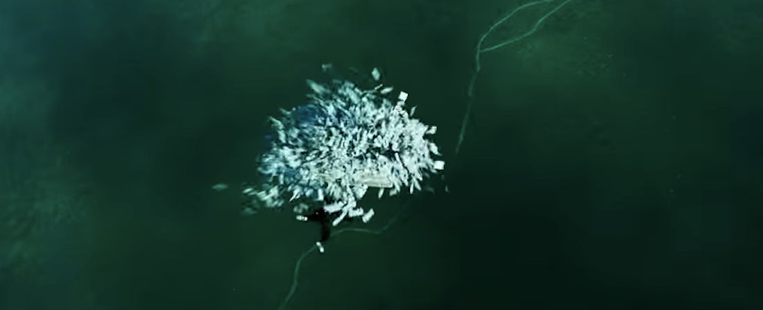 17 Thrilling 'Point Break' Trailer Moments, Because The Remake Already ...