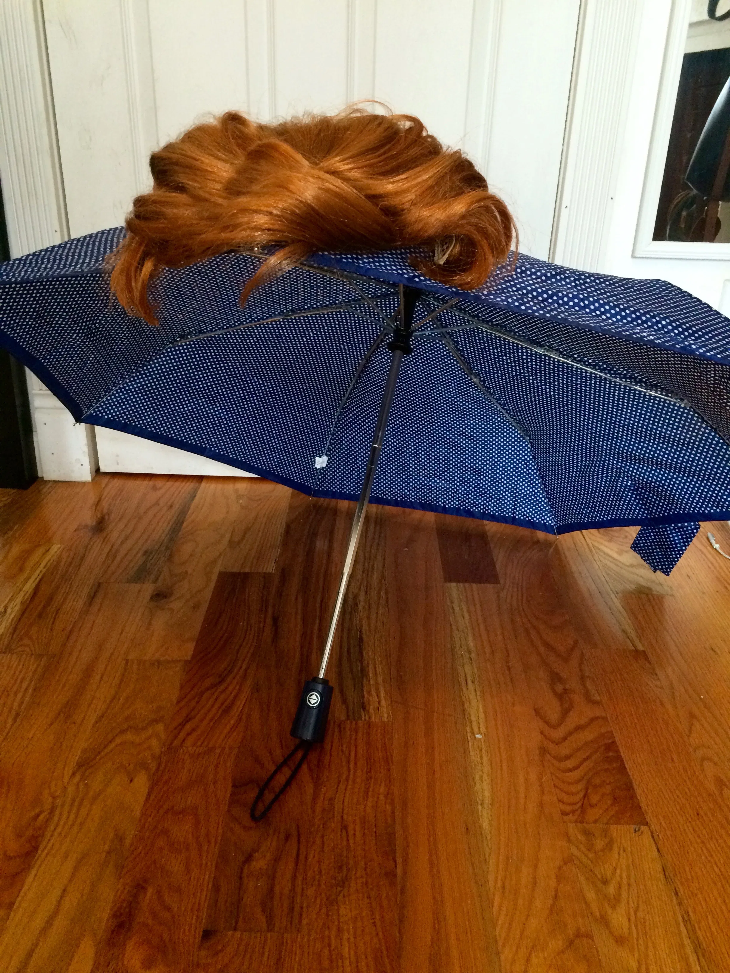 21 Things With Donald Trump's Hair To Prove You Can Trump-ify Anything ...