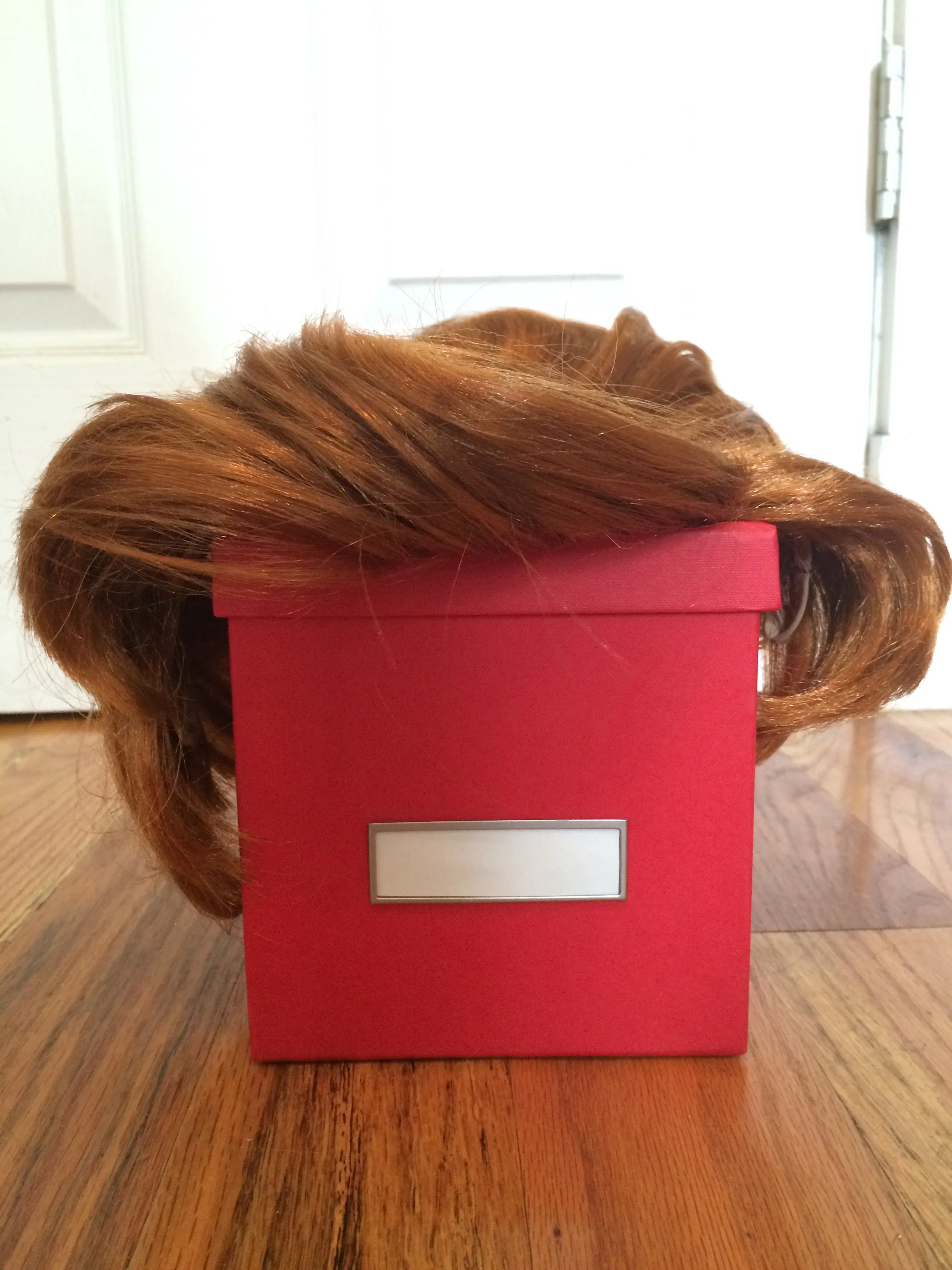 21 Things With Donald Trump's Hair To Prove You Can Trump-ify Anything ...