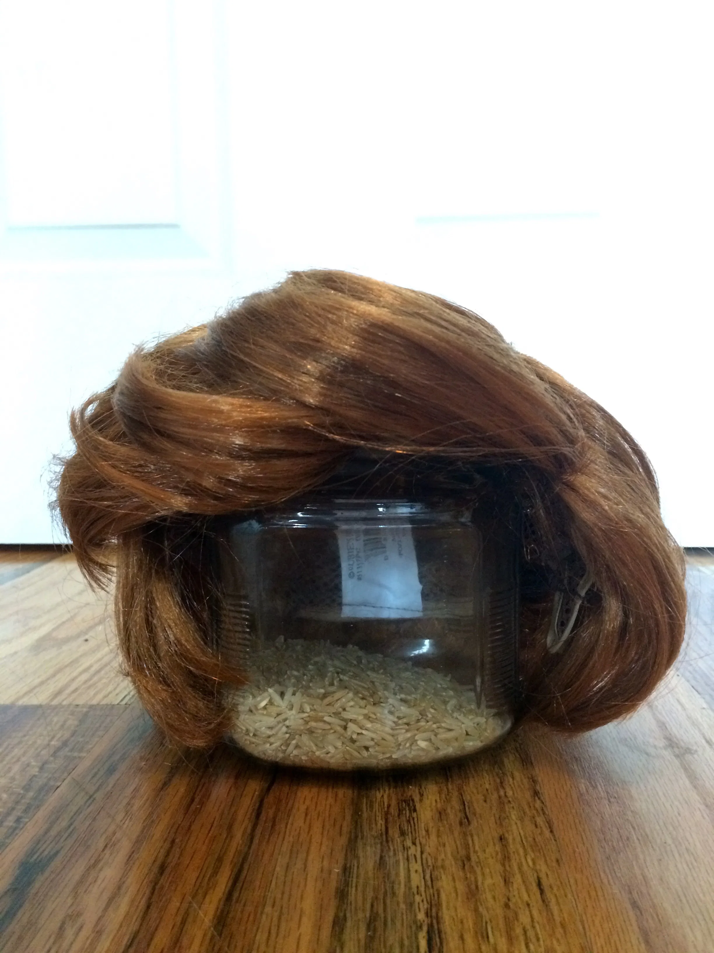 21 Things With Donald Trump's Hair To Prove You Can Trump-ify Anything ...