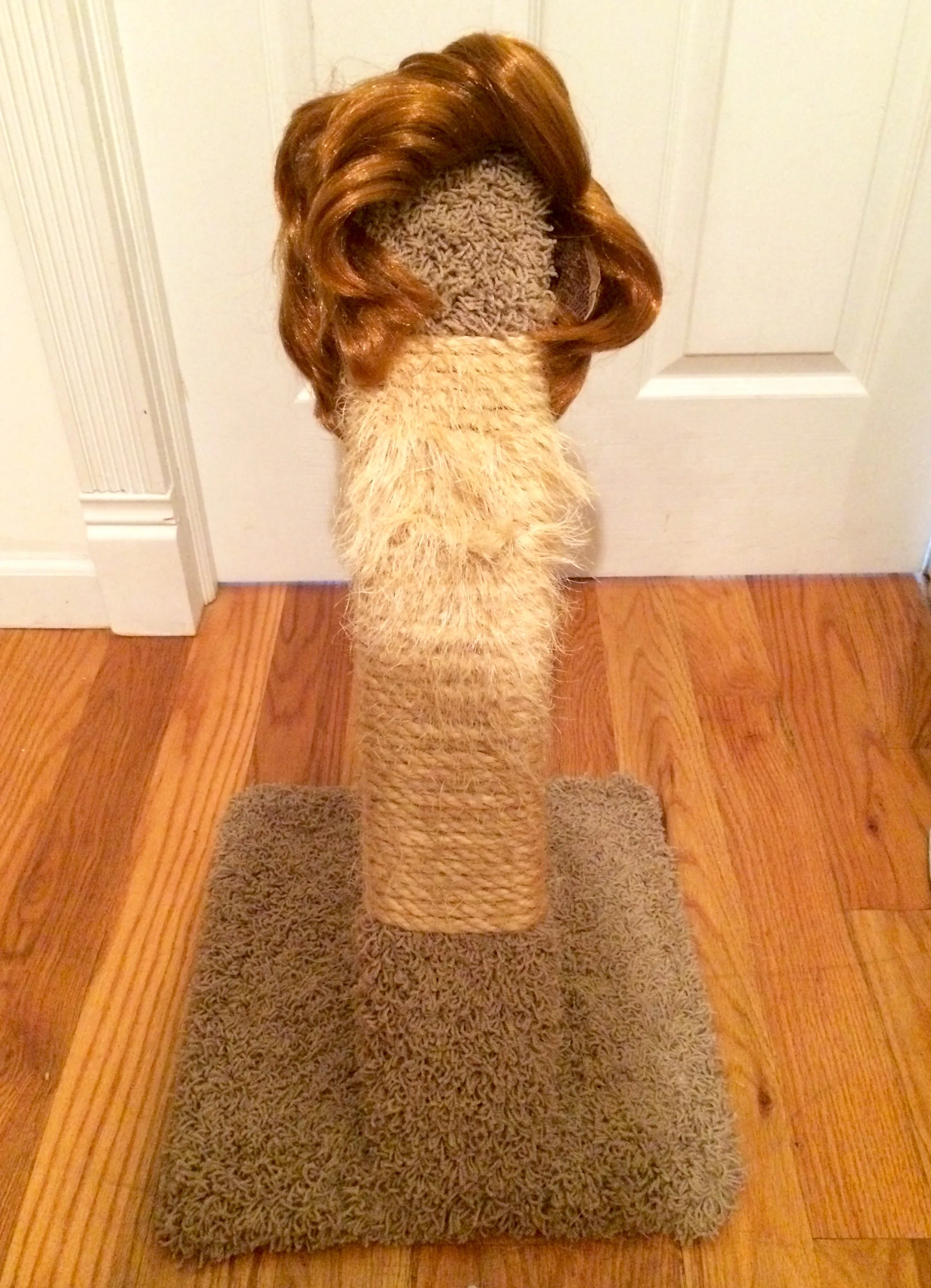 21 Things With Donald Trump's Hair To Prove You Can Trump-ify Anything ...
