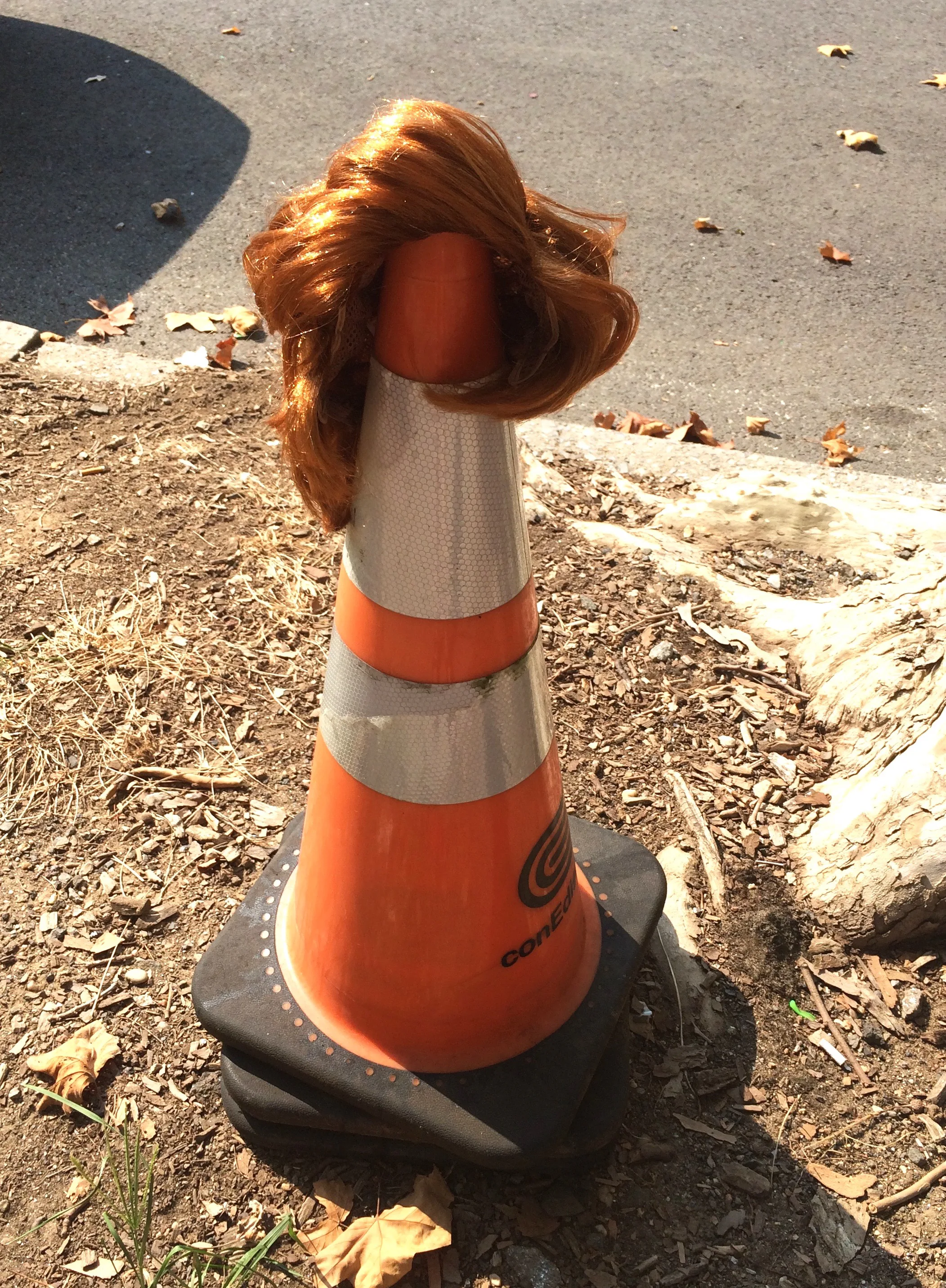 21 Things With Donald Trump's Hair To Prove You Can Trump-ify Anything ...
