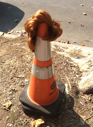 21 Things With Donald Trump's Hair To Prove You Can Trump-ify Anything ...