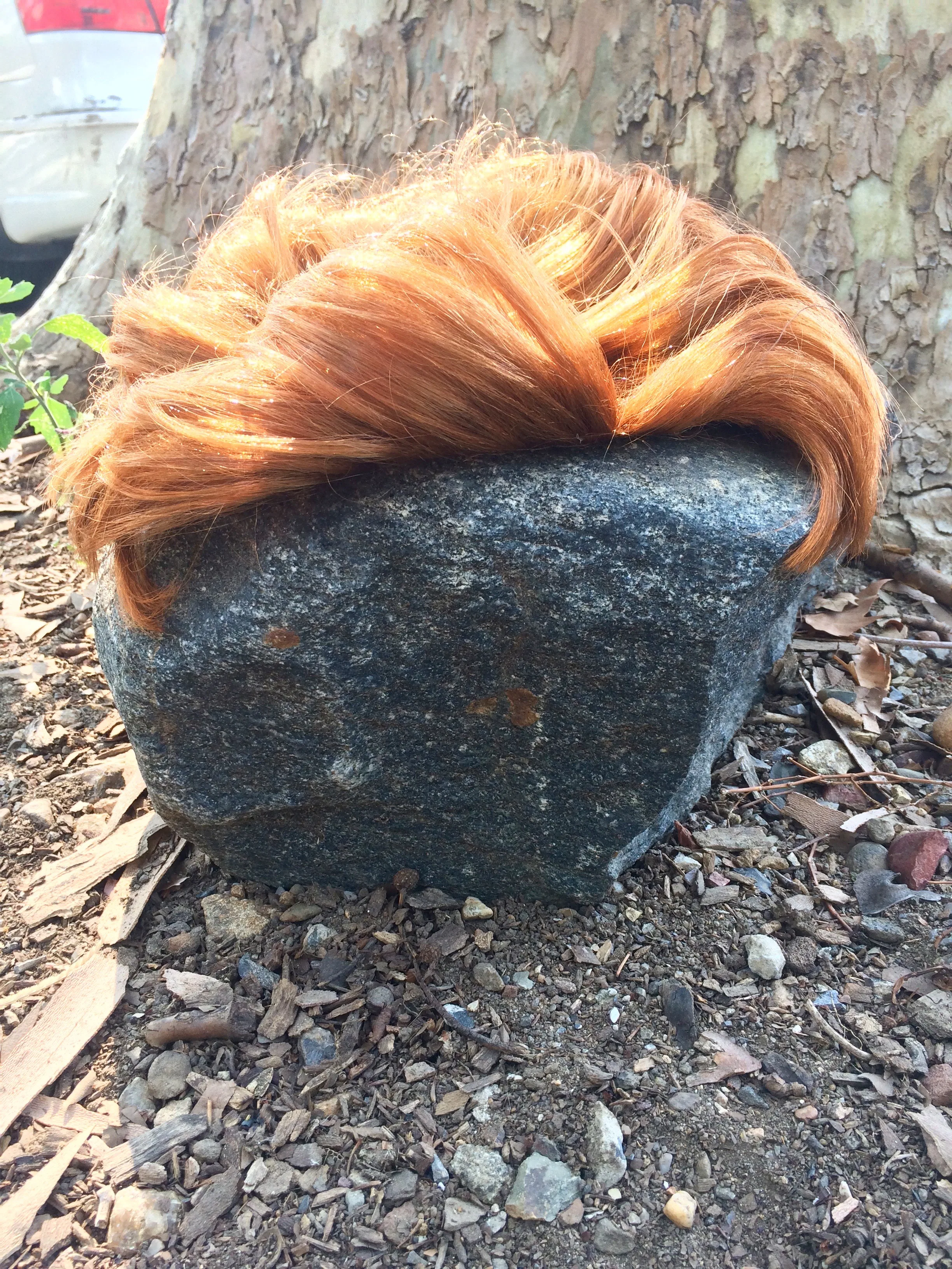 21 Things With Donald Trump's Hair To Prove You Can Trump-ify Anything ...