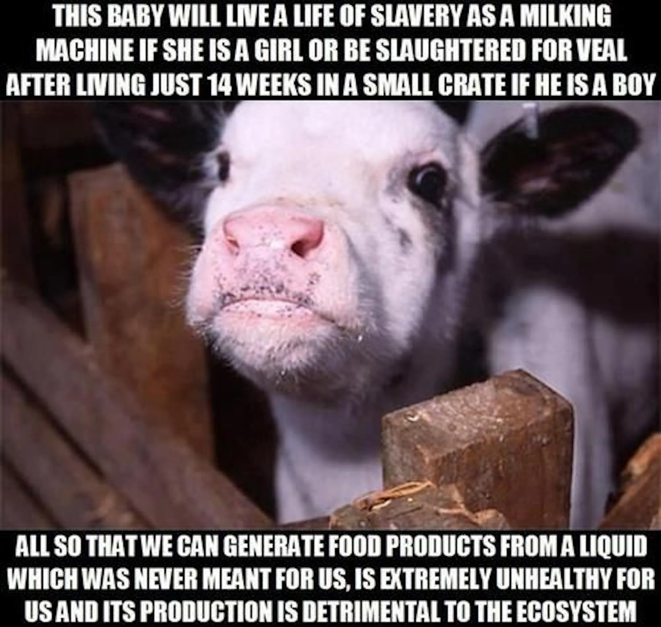 7 Things About Going Vegan That Have Really Surprised Me