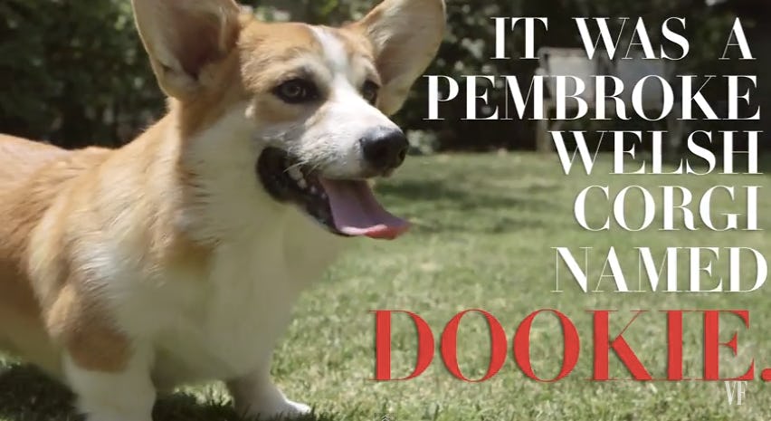 7 Things You Didn't Know About The Royal Corgis From "The Loyal Royals ...