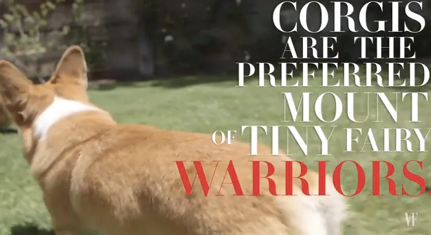 7 Things You Didn't Know About The Royal Corgis From "The Loyal Royals ...