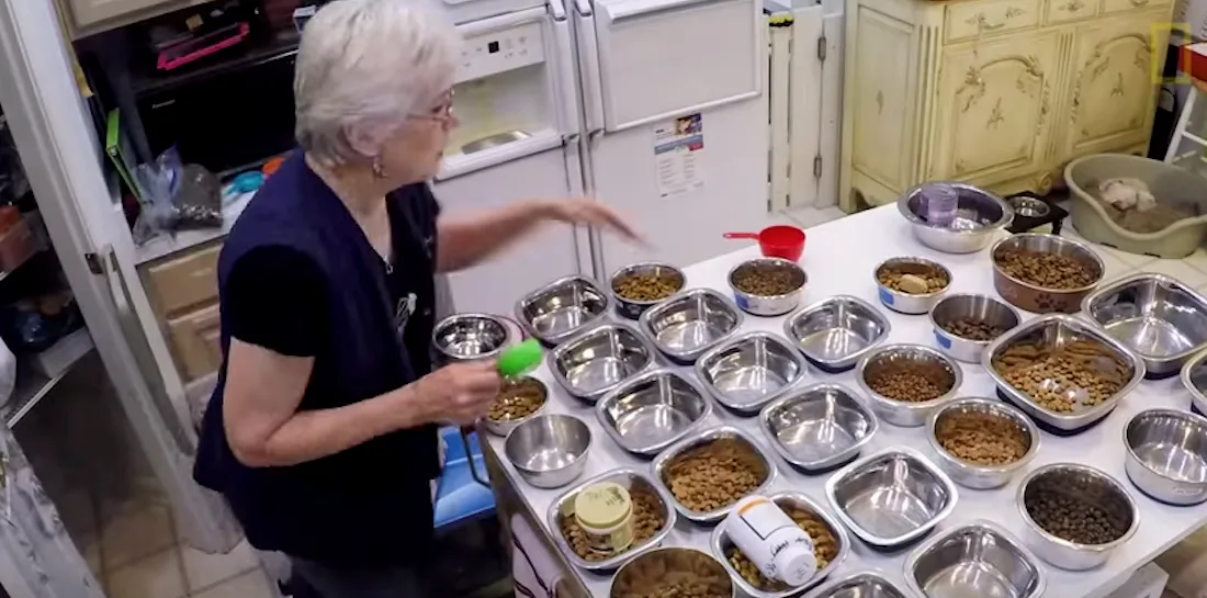 The House With A Heart Senior Pet Sanctuary Is A Retirement Home For ...