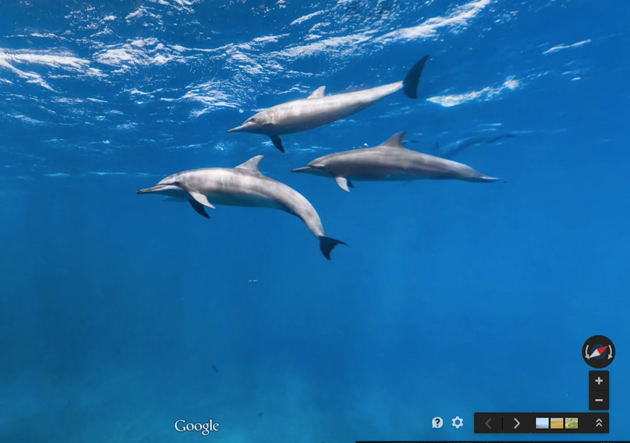 7 Google Maps Underwater Locations That Look So Gorgeous, You'll Be ...
