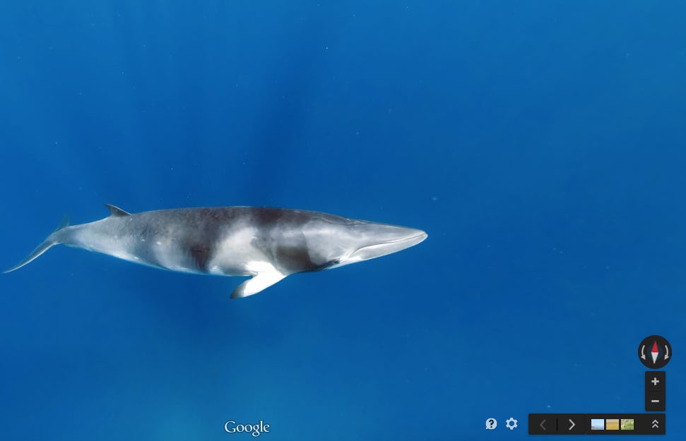 7 Google Maps Underwater Locations That Look So Gorgeous, You'll Be ...