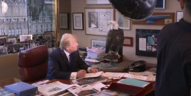 Donald Trump Posed For 'TIME' With A Bald Eagle And A 'Zoolander ...