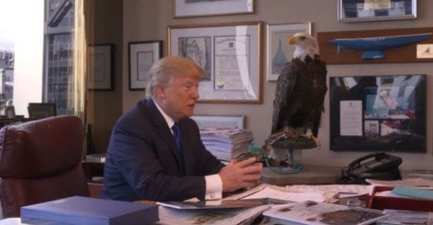Donald Trump Posed For 'TIME' With A Bald Eagle And A 'Zoolander ...