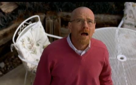 Who Wore It Best: 'Malcolm in the Middle's Hal or Walter From 'Breaking ...