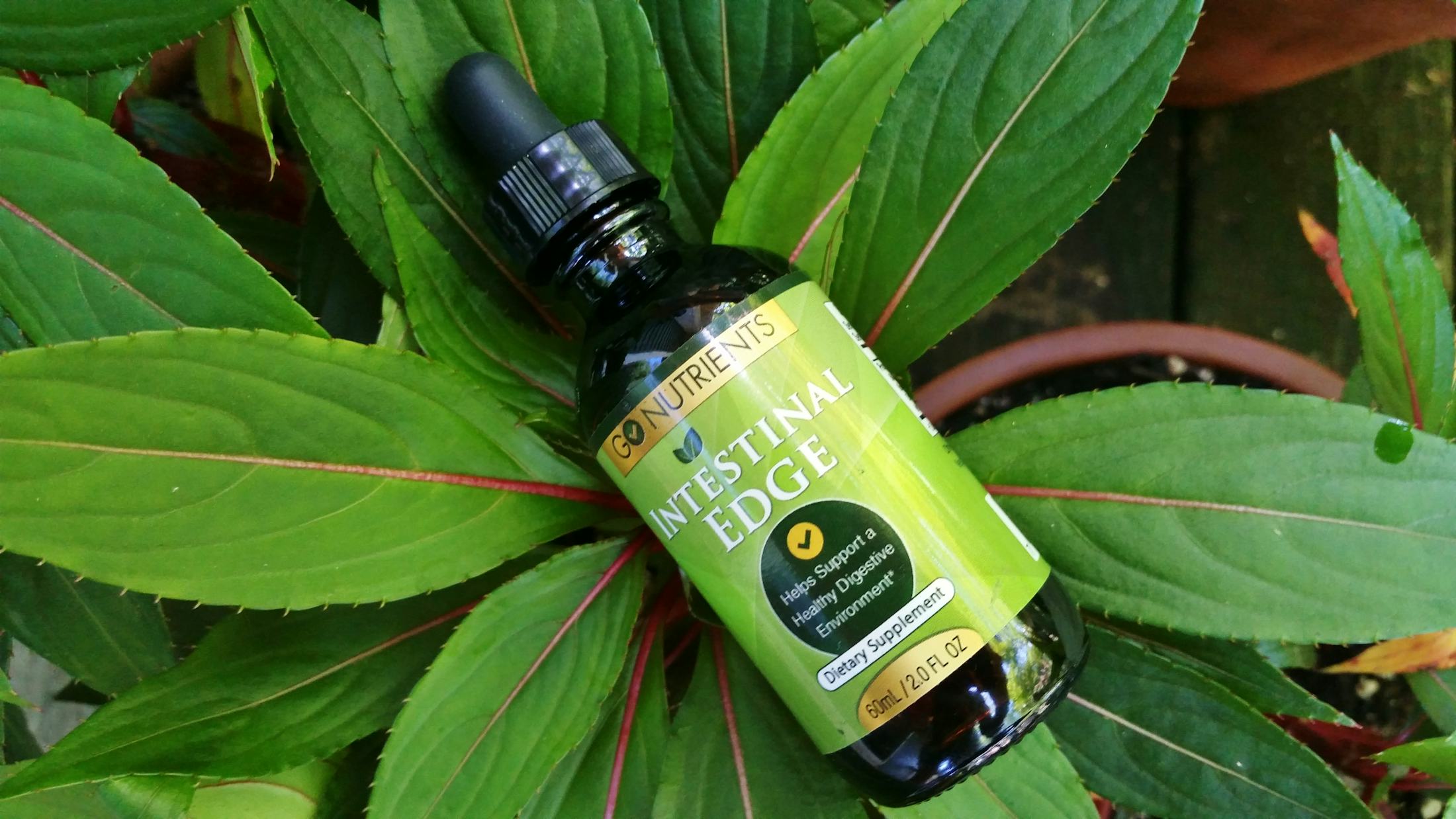 I Tried A Parasite Cleanse To See If It Would Solve My Acne Woes & The ...