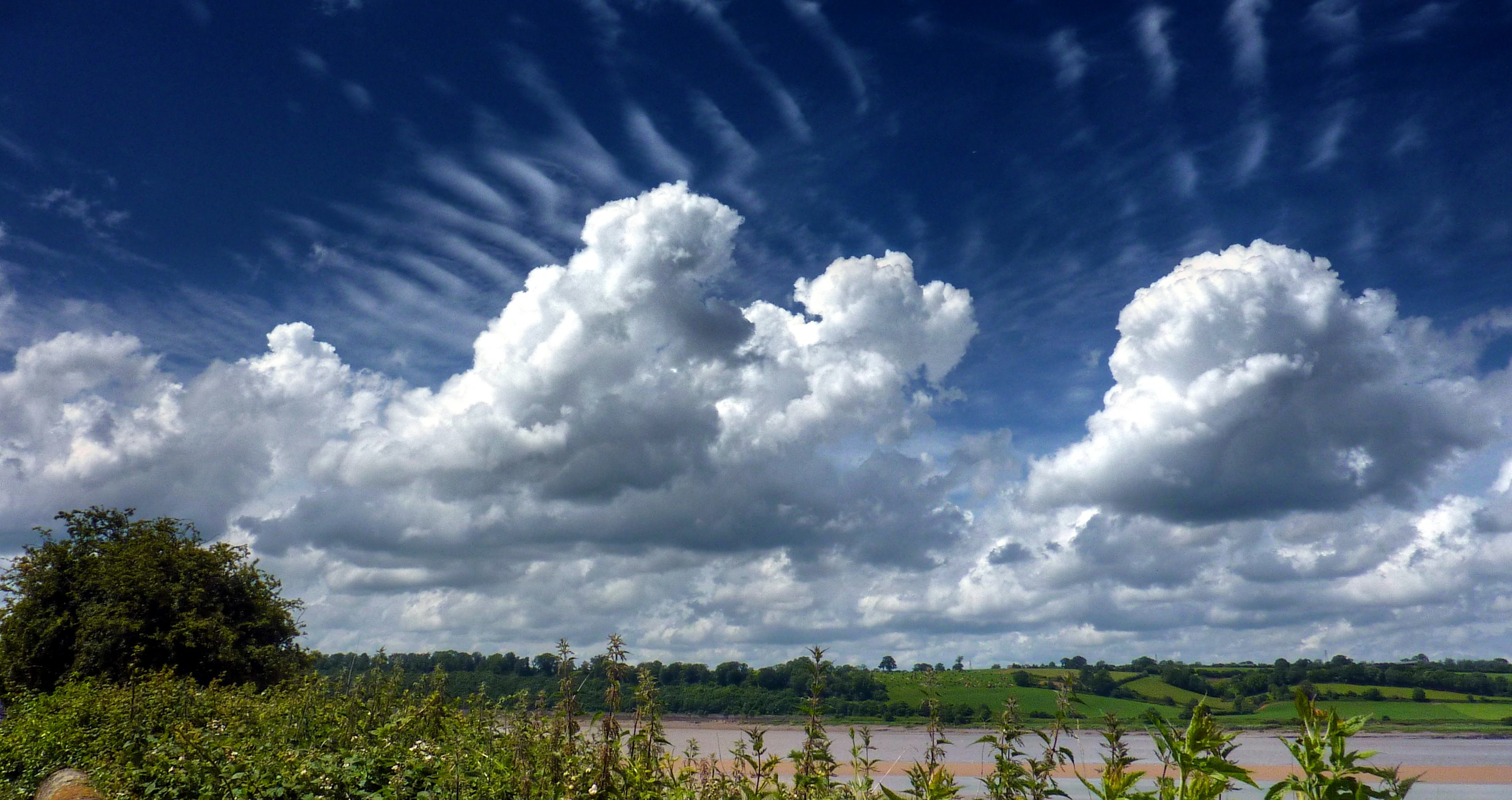 15 Stretch Mark Lookalikes Because There Are Plenty Of Things We Love ...