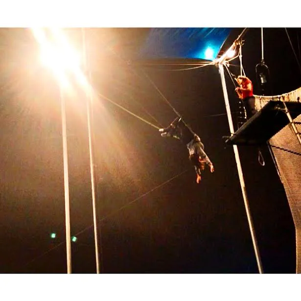 The 25 Emotional Stages Of Trapeze School Because Humans Flying Through ...