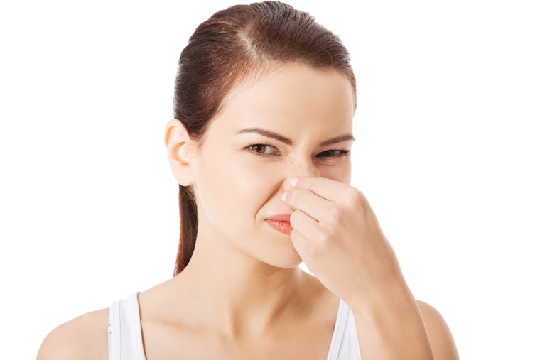 99 Smells Ranked Because Your Sense Of Smell Is The Closest Thing You 99-smells-ranked-because-your-sense-of-smell-is-the-closest-thing-you