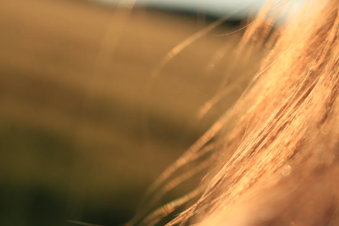 9 Ways To Know Your Hair Is Healthy & Strong