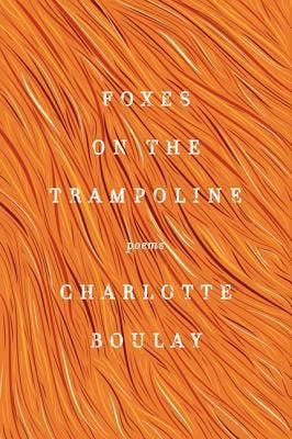 18 Contemporary Women Poets You Should Be Reading