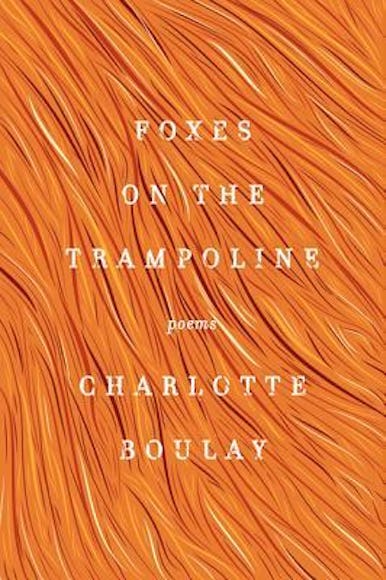 18 Contemporary Women Poets You Should Be Reading