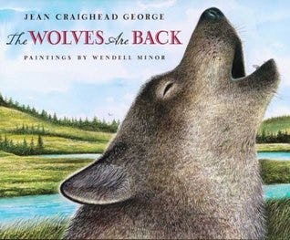 16 Children's Books That Will Make You See The World Differently