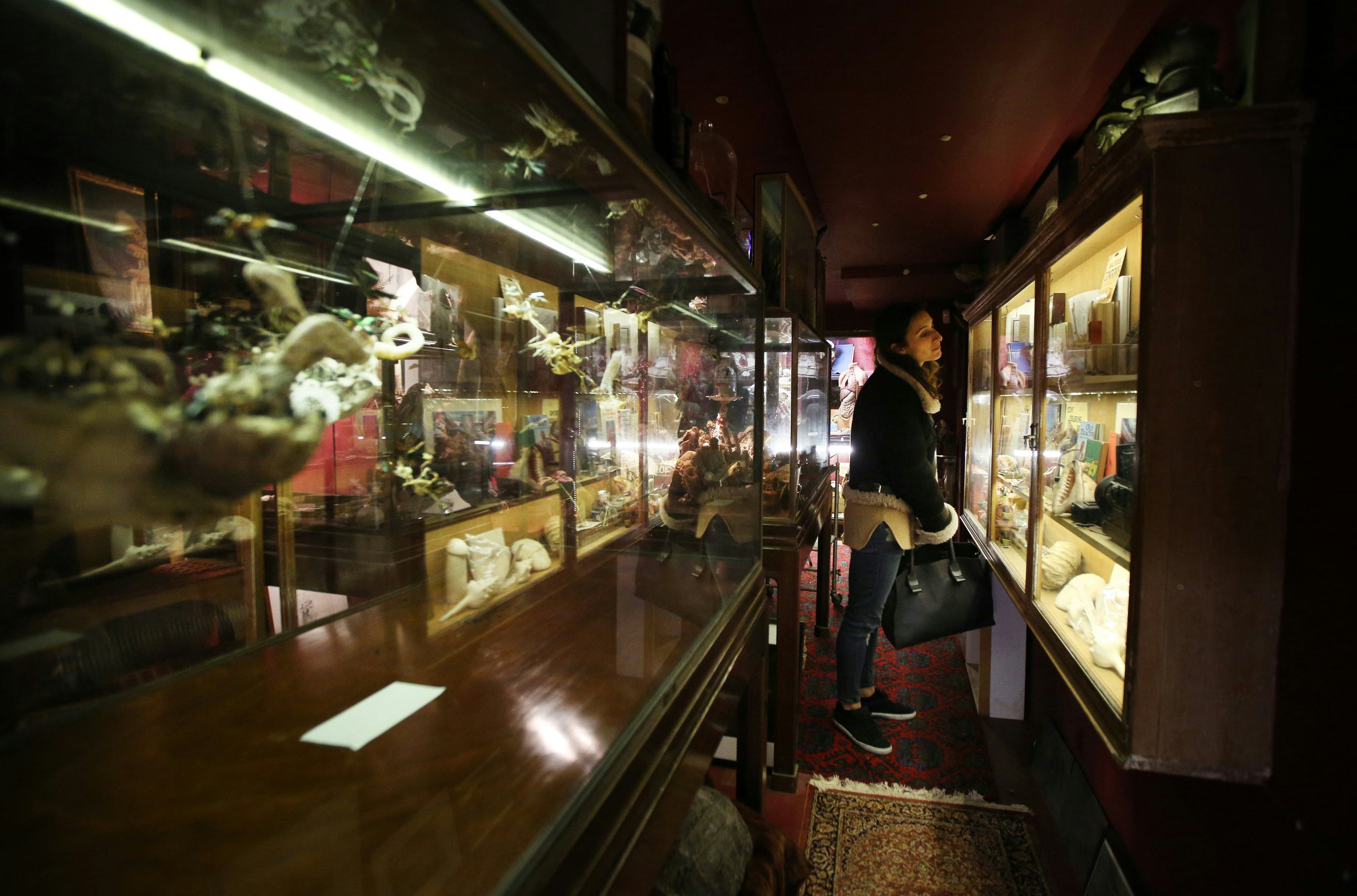 Inside the World's Most Bizarre Brand-New Museum