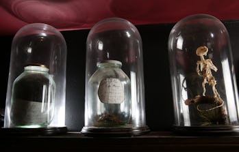 Inside the World's Most Bizarre Brand-New Museum