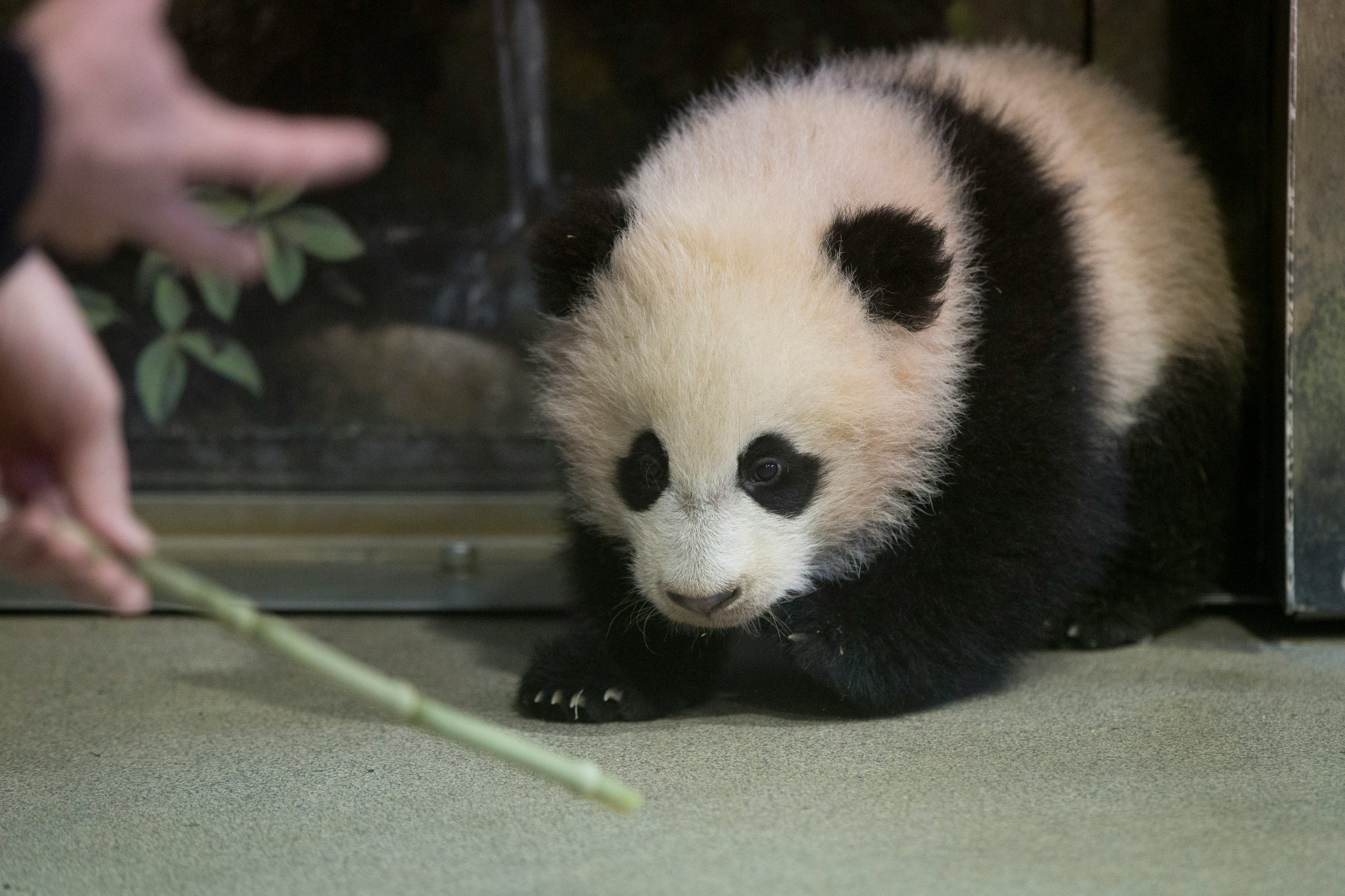 Cliteracy: 21 Things Millennials Should Know About the Clitoris