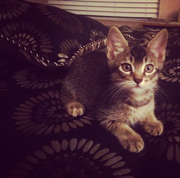 15 Times When It's Totally Appropriate to Catcall