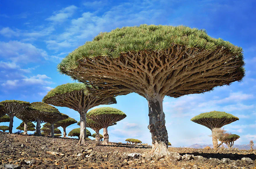 14 Breathtaking Photos Reveal the Earth as You've Never Known It Before