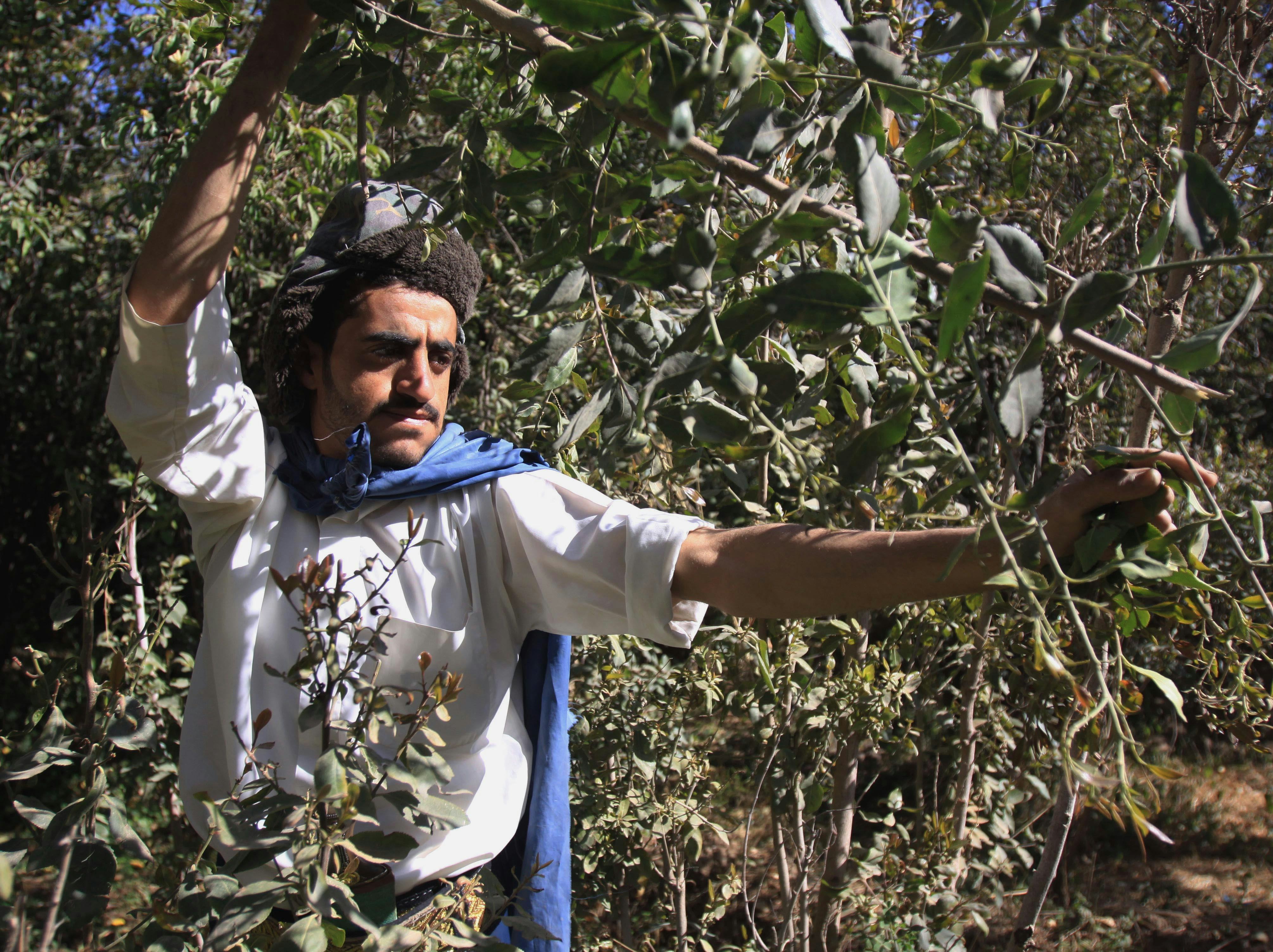 5 Things You Never Knew About Modern-Day Pirates