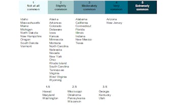 Harvard Investigation Declares the Most Corrupt States in America