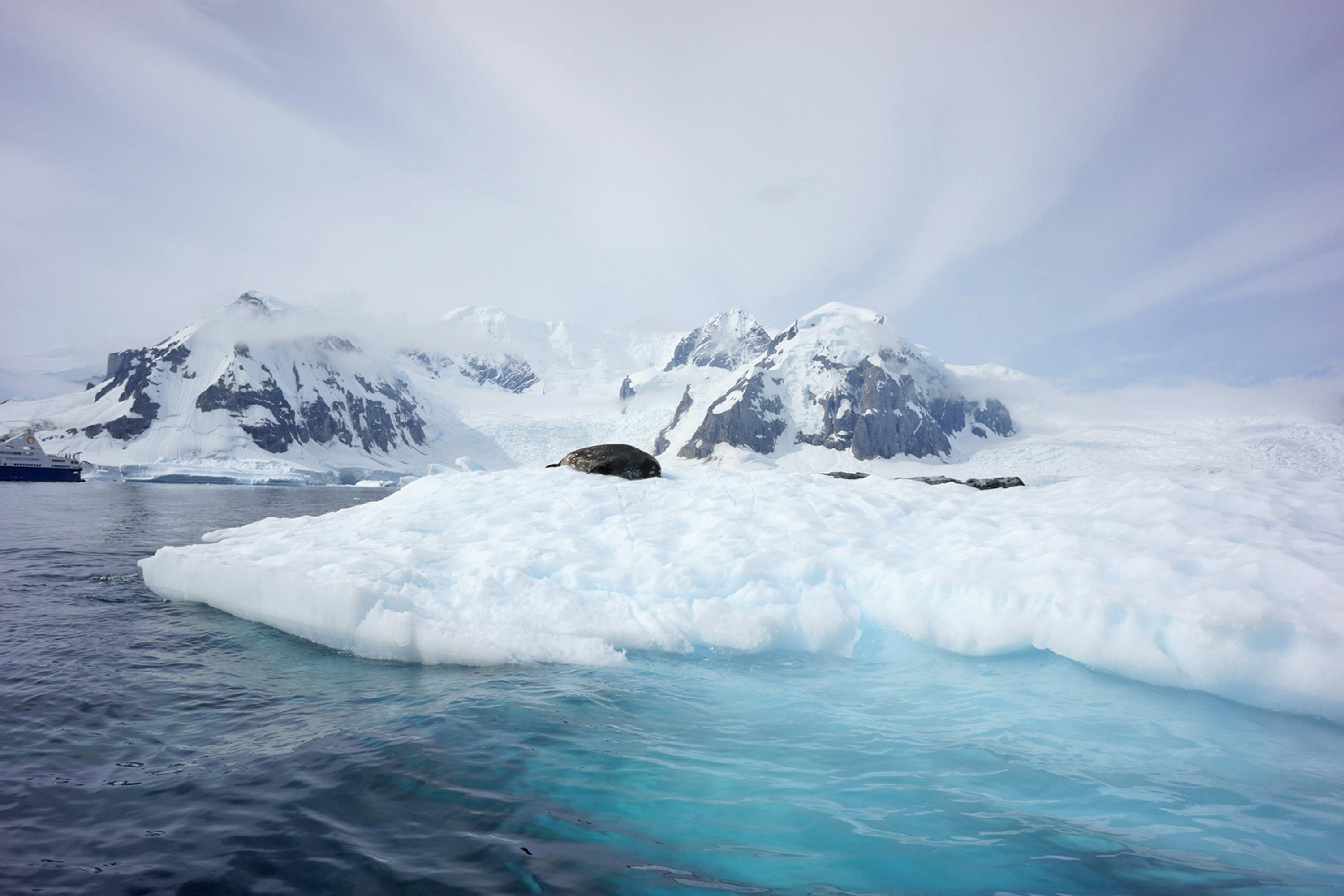 NASA News: Here Are Some of the Biggest Space Discoveries of 2015