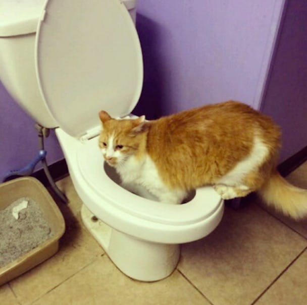 15 Times When It's Totally Appropriate to Catcall