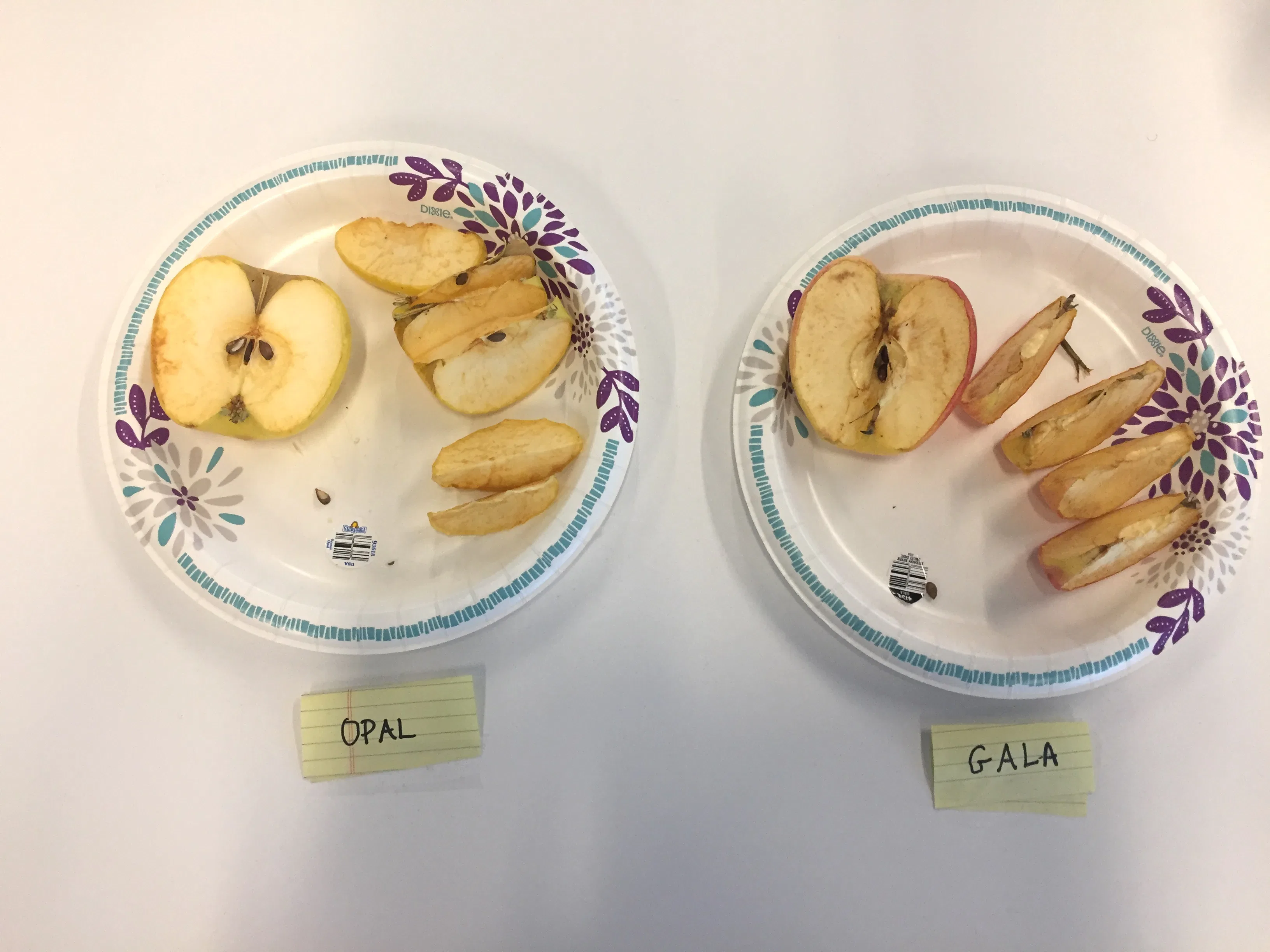 The Opal, a “non-browning apple” is here — and it’s made without any GMOs