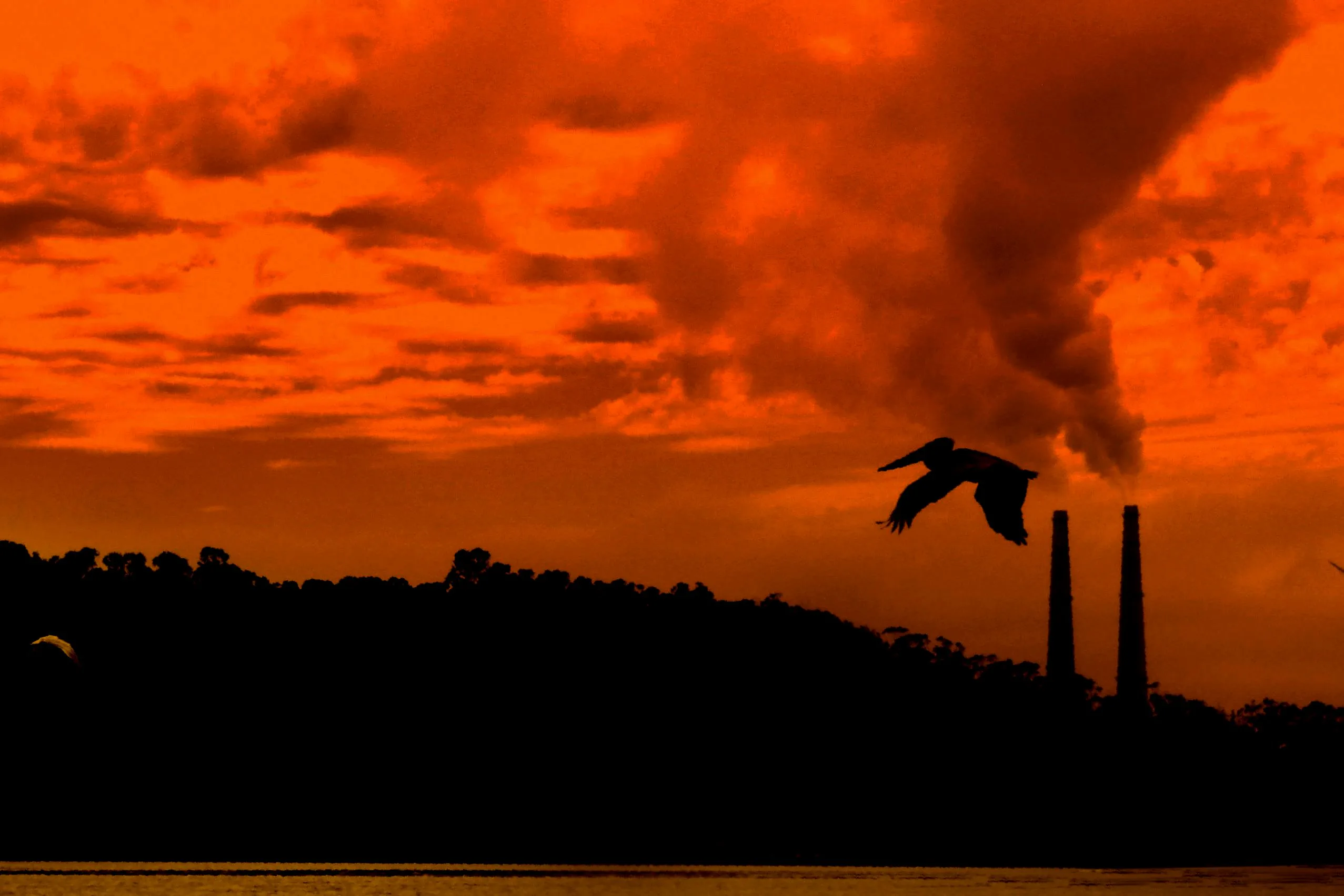 Doctors Warn Climate Change Will Have "Devastating Effect" on Human Health