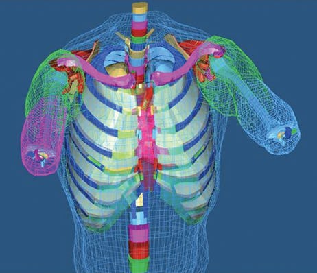 What Happens to Your Body When You're Exposed to Different Kinds of ...