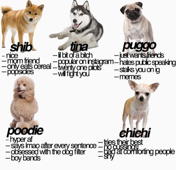 Tumblr's "Tag Yourself" meme, explained: Why the best meme of 2016 is ...