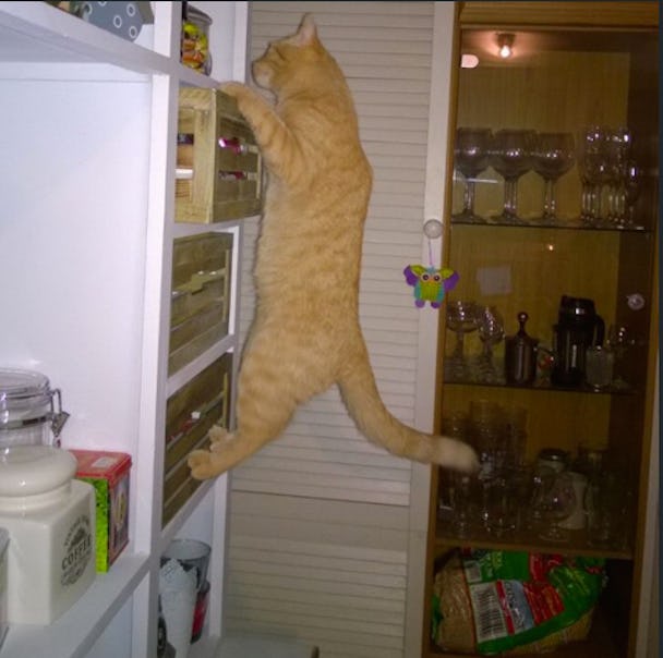 15 Times When It's Totally Appropriate to Catcall