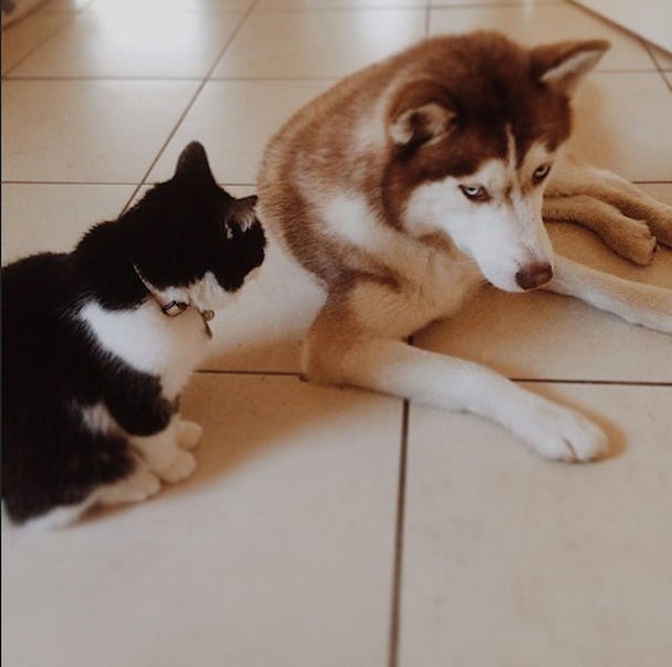 15 Times When It's Totally Appropriate to Catcall