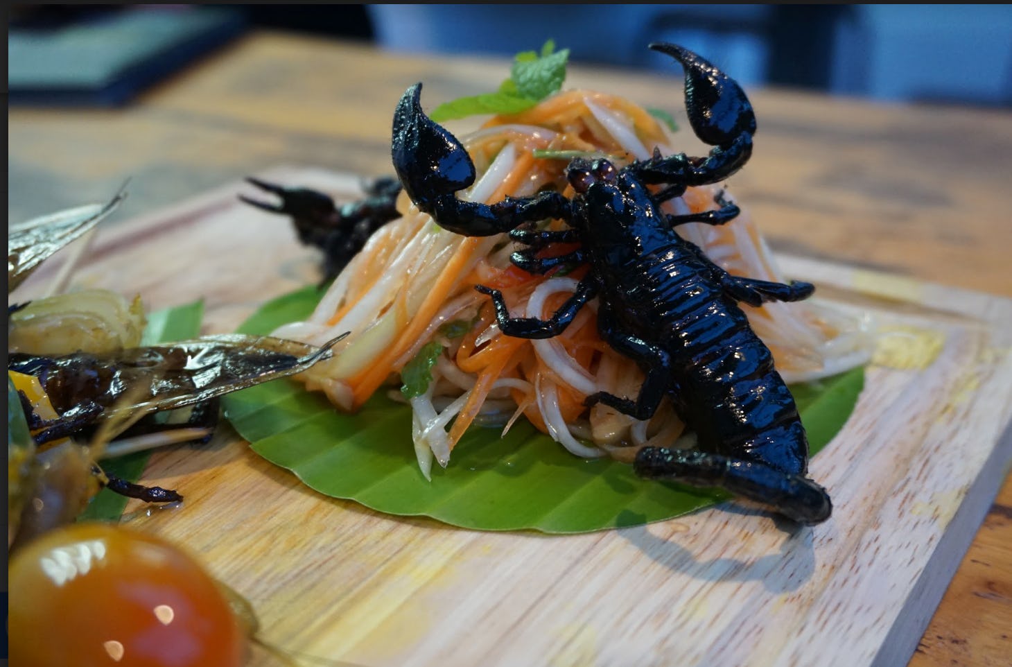 Tarantulas, fire ants and other bugs go from street food to gourmet ...