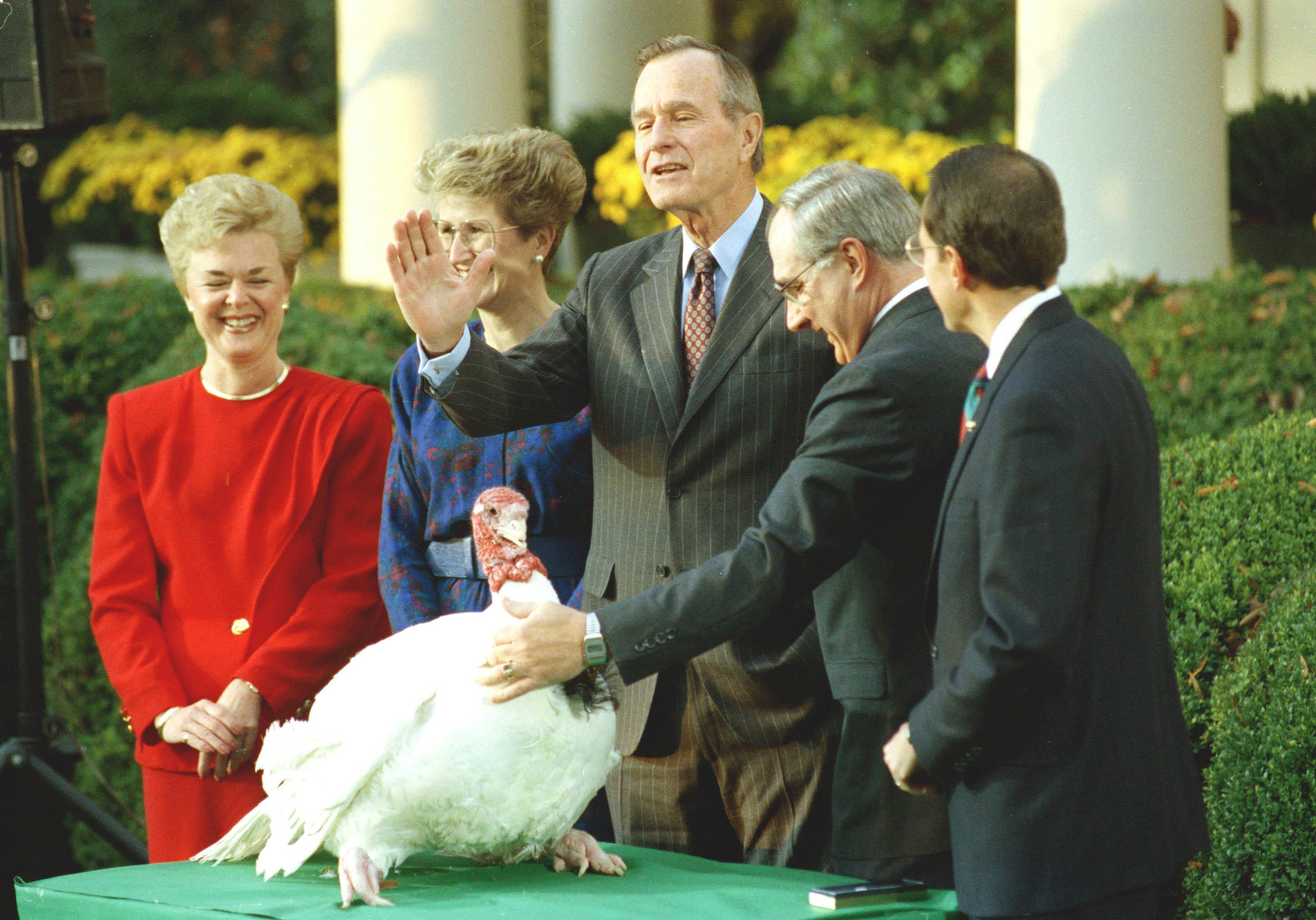 After Trump saved Drumstick, we still have to ask: Why do we pardon a ...