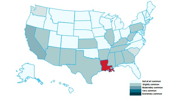 Harvard Investigation Declares the Most Corrupt States in America