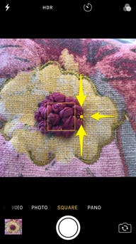 How to take beautiful close-up photos with an iPhone every time