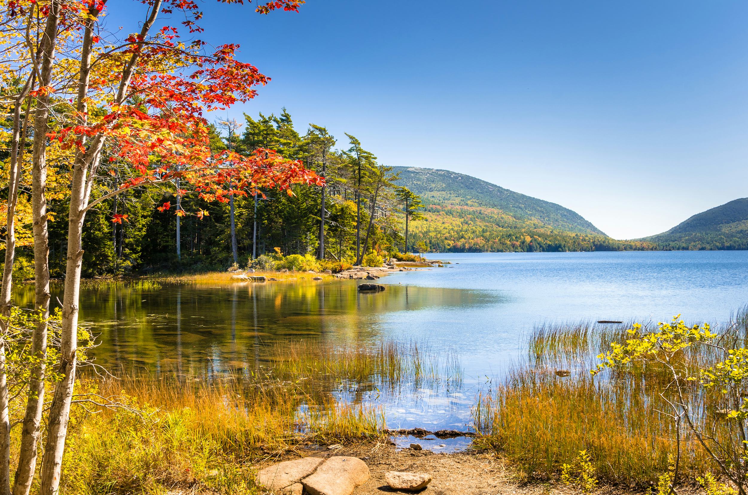 8 stunning places to see the best fall foliage