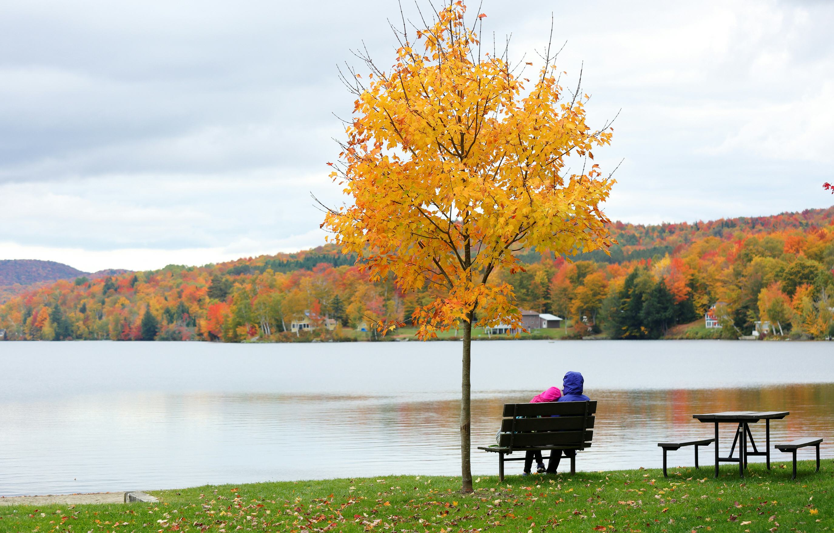 8 stunning places to see the best fall foliage