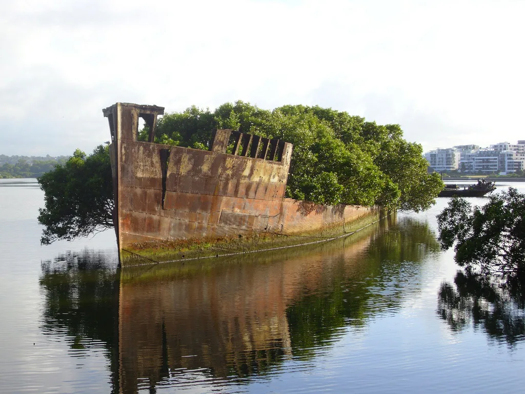 19 Stunning Photos of Nature Transforming Abandoned Wastelands